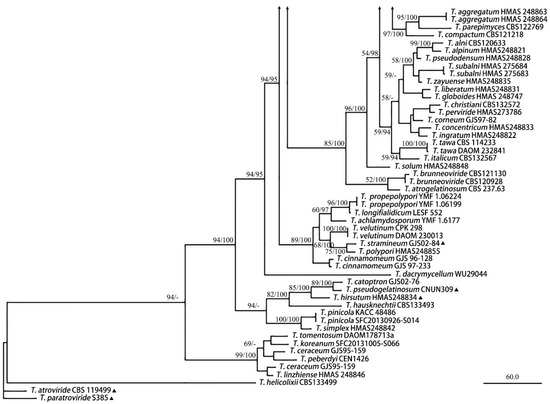 Three New Trichoderma Species in Harzianum Clade Associated with the ...