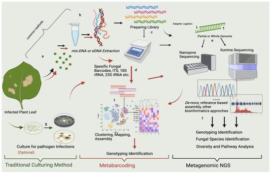 Metagenomics Next Generation Sequencing (mNGS): An Exciting Tool for Early and Accurate ...