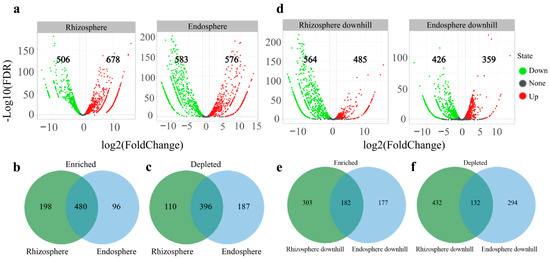JoF | Free Full-Text | Variation in Community Structure of the Root ...