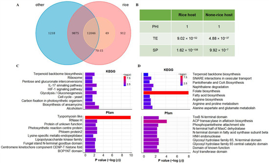 Pan-Genomics Reveals a New Variation Pattern of Secreted Proteins in ...