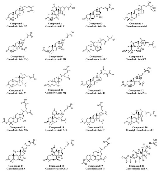 Characteristics of the Genome, Transcriptome and Ganoderic Acid of the ...