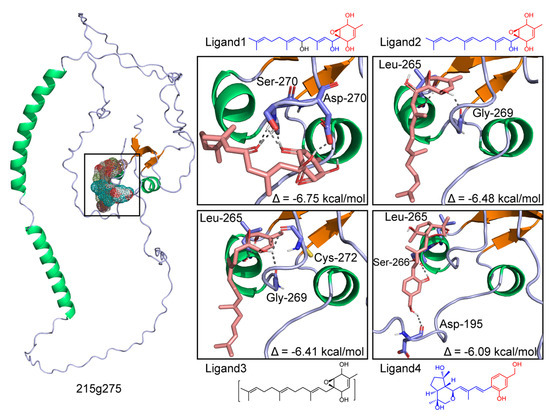 The Multifaceted Gene 275 Embedded in the PKS-PTS Gene Cluster Was ...