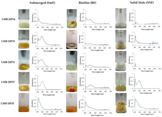 Comparison of Pigment Production by Filamentous Fungal Strains under ...