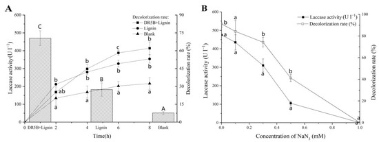 Efficient Azo Dye Biodecolorization System Using Lignin-Co-Cultured ...