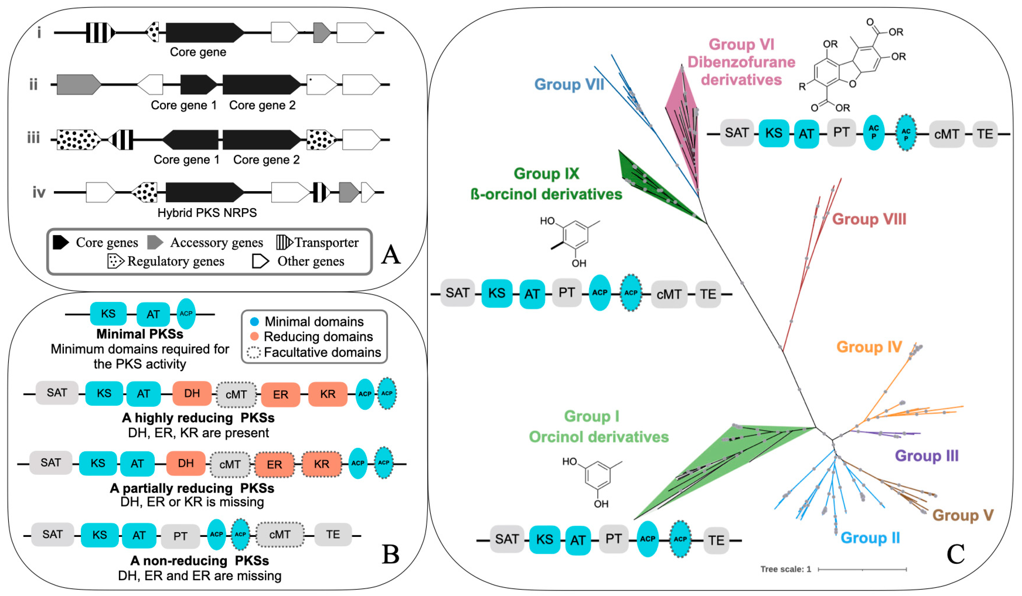 Linking Lichen Metabolites to Genes: Emerging Concepts and Lessons from ...