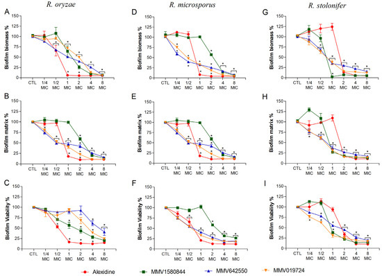 Promising Antifungal Molecules against Mucormycosis Agents Identified ...
