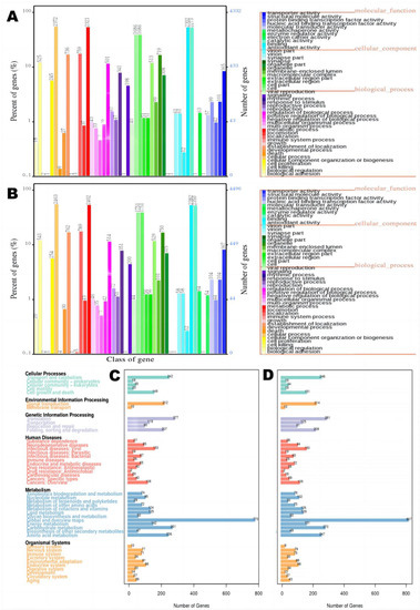 Comparative Transcriptomic Analysis of Key Genes Involved in Citrinin Biosynthesis in Monascus ...