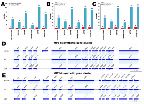 Comparative Transcriptomic Analysis of Key Genes Involved in Citrinin Biosynthesis in Monascus ...