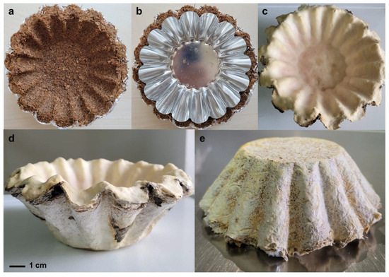 Mycelium-Composite Materials—A Promising Alternative to Plastics?