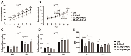 Expanding the Toolbox for Functional Genomics in Fonsecaea pedrosoi ...
