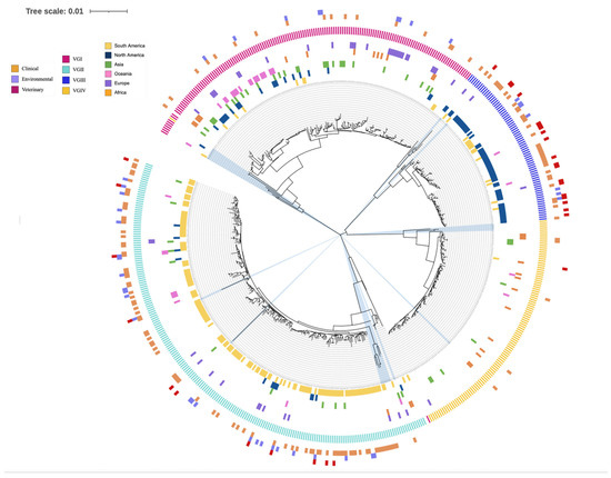 JoF | Free Full-Text | Global Analyses of Multi-Locus Sequence Typing Data Reveal Geographic ...
