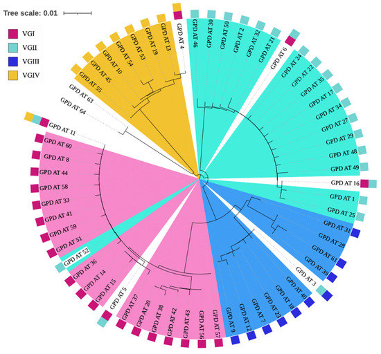 JoF | Free Full-Text | Global Analyses of Multi-Locus Sequence Typing Data Reveal Geographic ...
