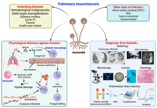 What Is New in Pulmonary Mucormycosis?