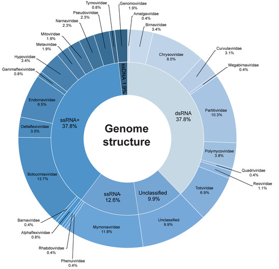 Exploring the Mycovirus Universe: Identification, Diversity, and ...