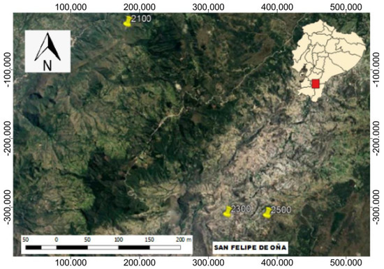 Biological Crust Diversity Related to Elevation and Soil Properties at ...