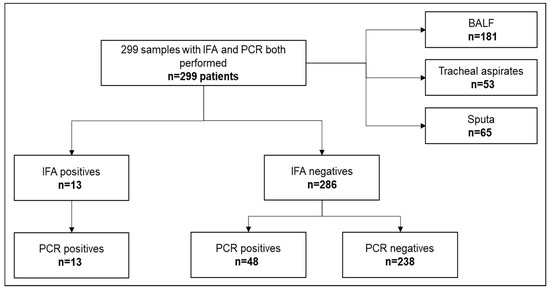 Pneumocystis jirovecii Pneumonia Diagnostic Approach: Real-Life ...