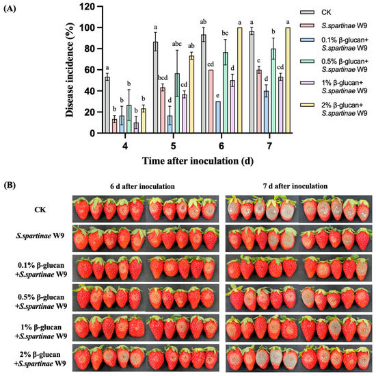 β-Glucan Enhances the Biocontrol Efficacy of Marine Yeast Scheffersomyeces spartinae W9 against ...