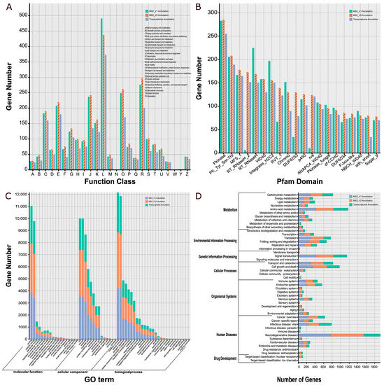 Genome Re-Annotation and Transcriptome Analyses of Sanghuangporus sanghuang