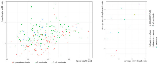 JoF | Free Full-Text | Taxonomy and Phylogeny of Cystolepiota ...