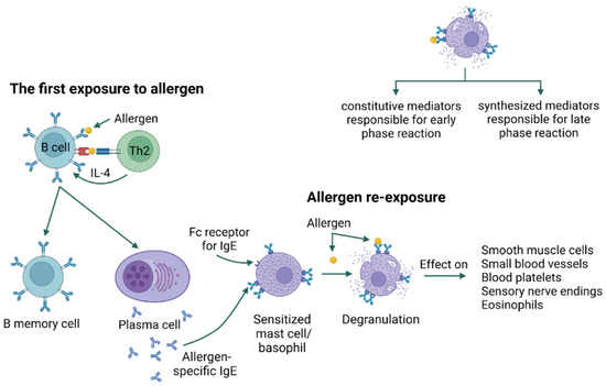 Fungal Aeroallergens—The Impact of Climate Change