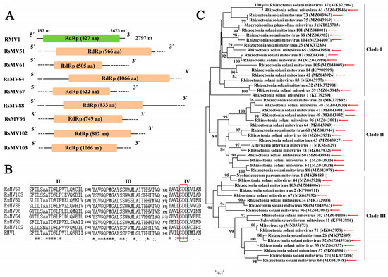 Anastomosis Groups and Mycovirome of Rhizoctonia Isolates Causing Sugar ...