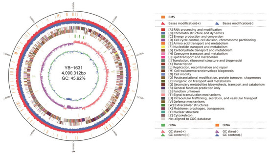 JoF | Free Full-Text | Isolation and Genome-Based Characterization of ...