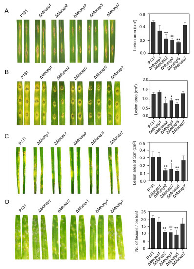 Identification and Characterization of Novel Candidate Effector ...