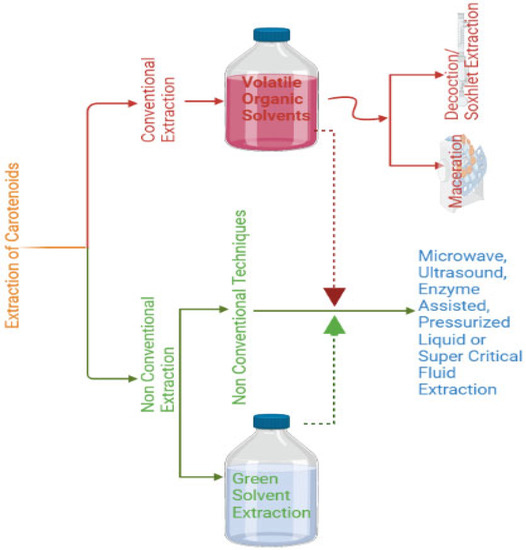 Industrially Important Fungal Carotenoids: Advancements in ...
