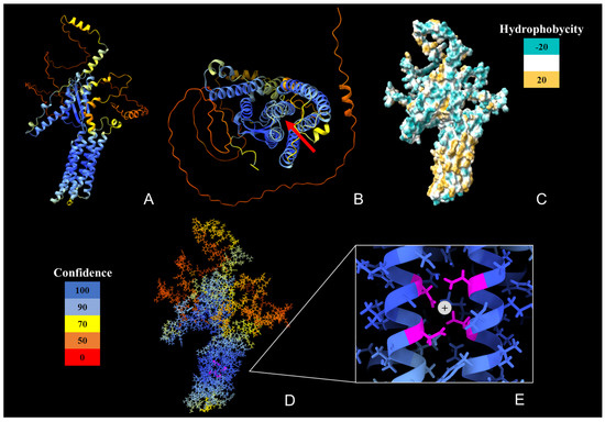 JoF | Free Full-Text | Identification and Characterization of Dmct: A ...