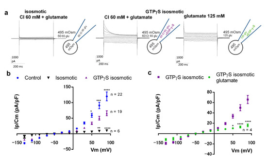 JoF | Free Full-Text | Osmotically Activated Anion Current of ...