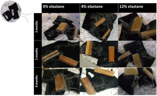 Filamentous Fungi Are Potential Bioremediation Agents of Semi-Synthetic ...