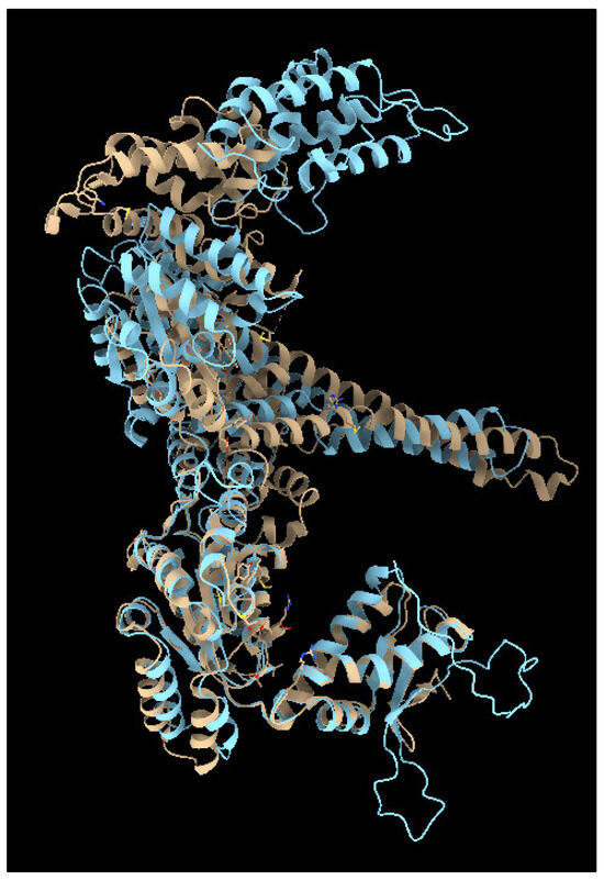 OMICS and Other Advanced Technologies in Mycological Applications