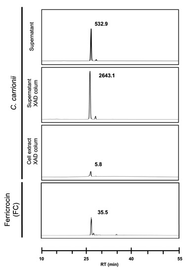 Iron Starvation Induces Ferricrocin Production and the Reductive Iron ...