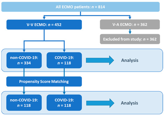 COVID-19 Is an Independent Risk Factor for Detrimental Invasive Fungal Disease in Patients on ...