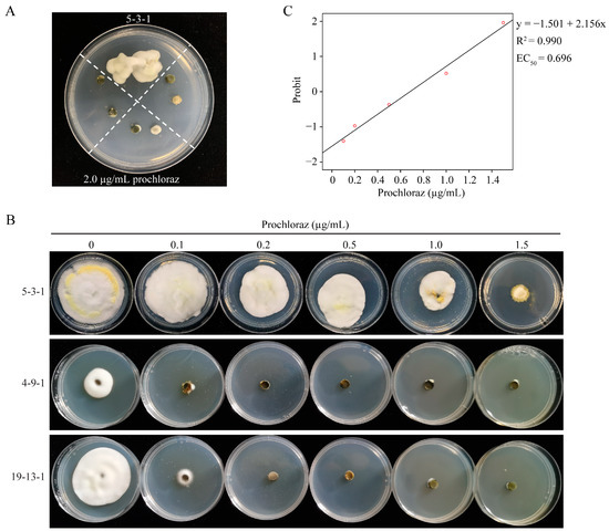 Sensitivity Baselines, Resistance Monitoring, and Molecular Mechanisms ...