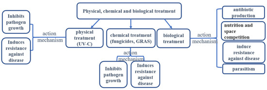Pathogenicity, Mycotoxin Production, and Control of Potato Dry Rot ...