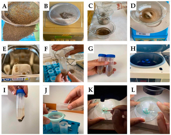 JoF | Free Full-Text | A New Technique for the Extraction of Arbuscular ...