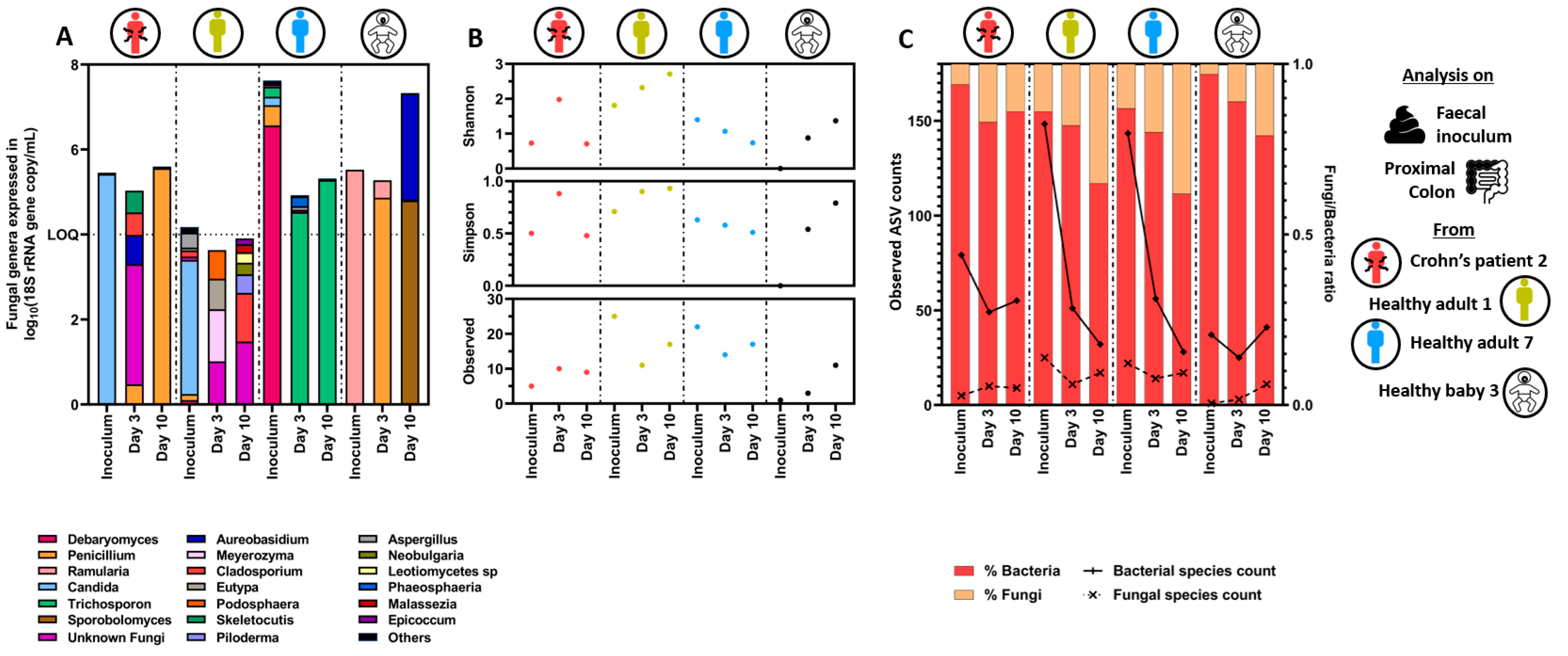 JoF | Free Full-Text | The Intricate Connection between Bacterial α ...