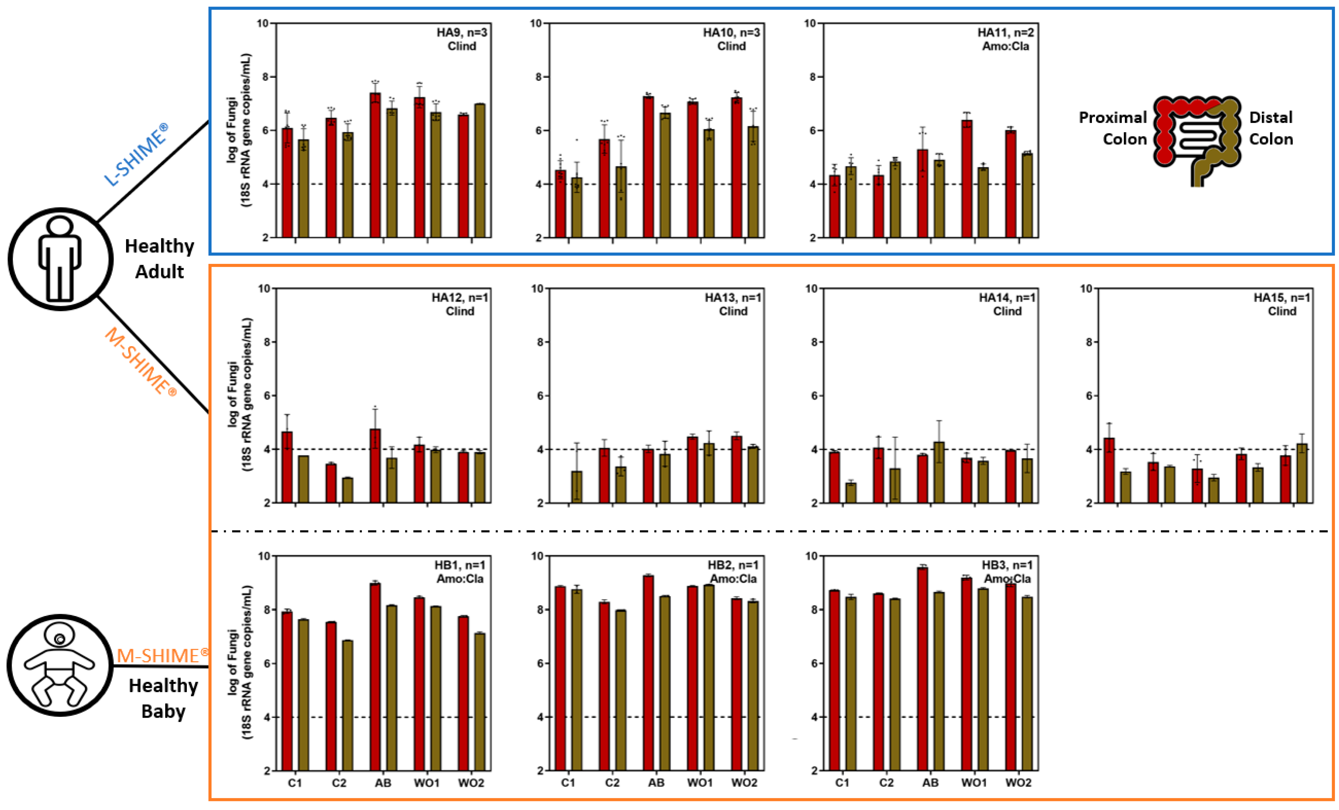 JoF | Free Full-Text | The Intricate Connection between Bacterial α ...
