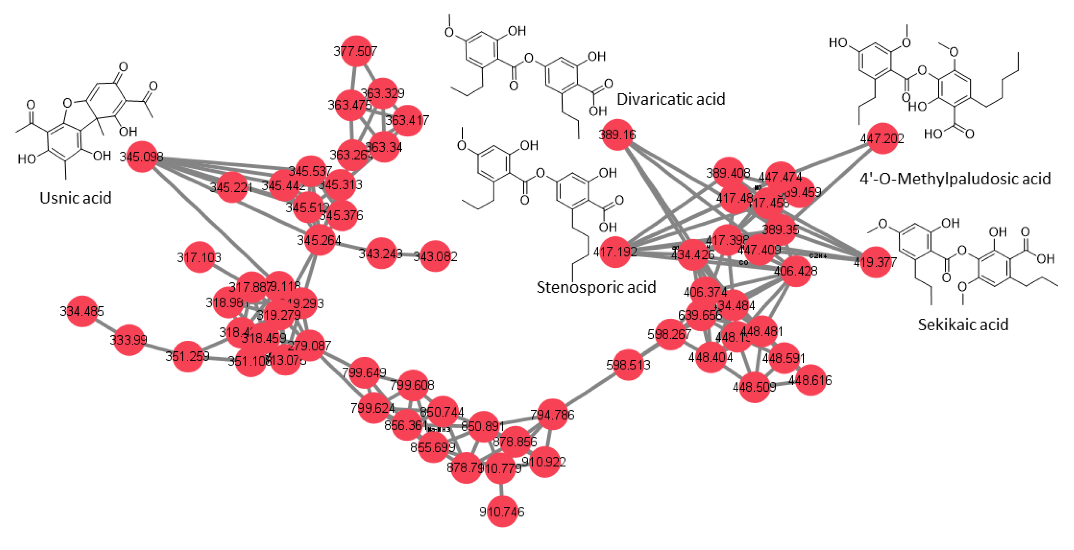 JoF | Free Full-Text | Xerophytic Lichens from Gypsiferous Outcrops of ...