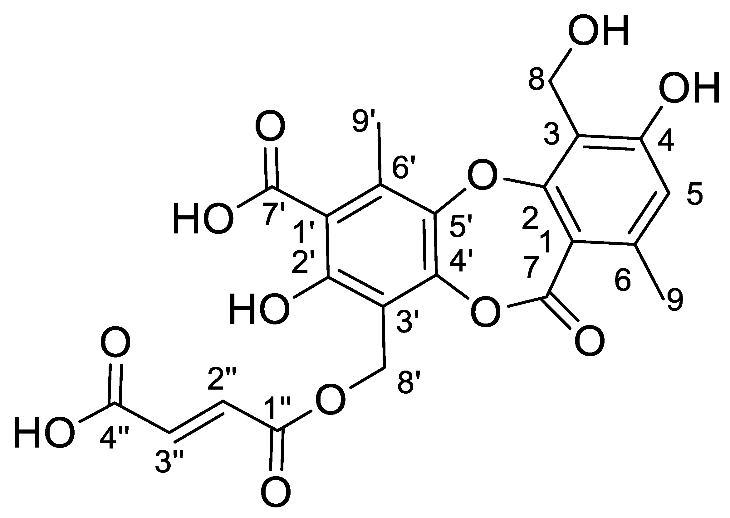 Xerophytic Lichens from Gypsiferous Outcrops of Arid Areas of Andalusia ...