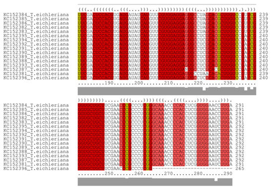 Compensatory Base Changes in ITS2 Secondary Structure Alignment ...