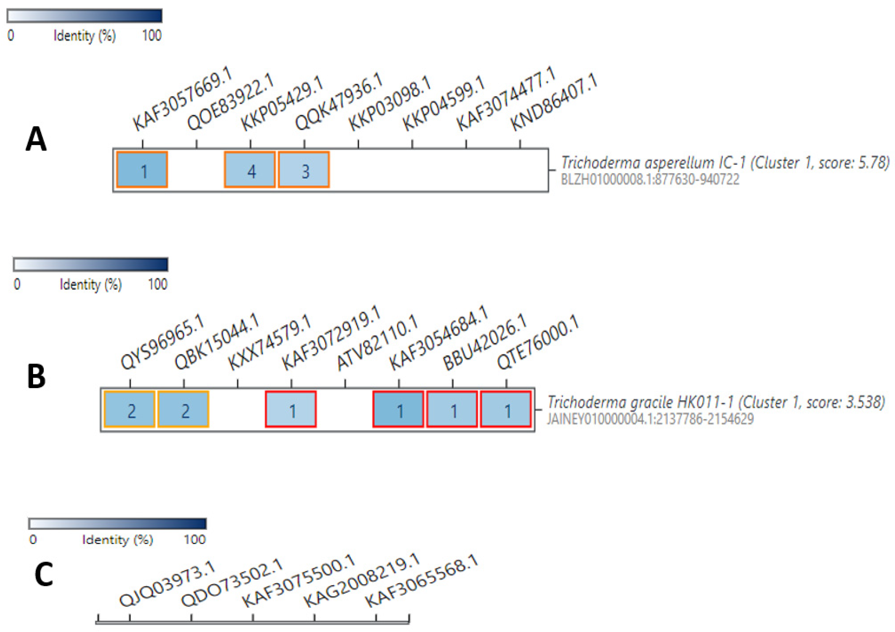 Genomic Based Analysis of the Biocontrol Species Trichoderma harzianum ...