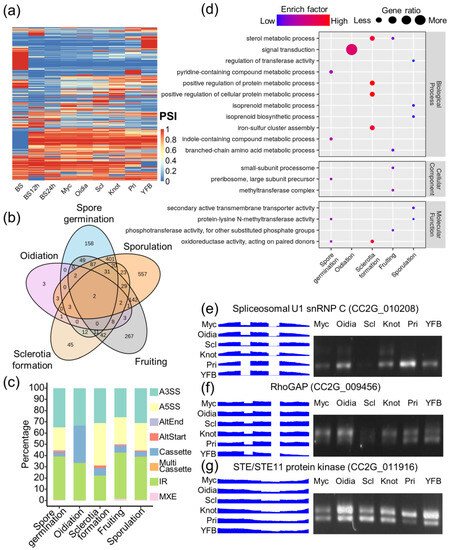 JoF | Free Full-Text | The Genome-Wide Characterization of Alternative ...