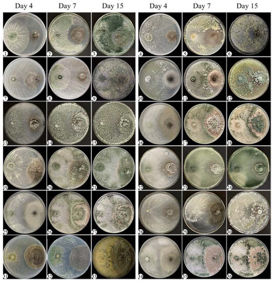 Biocontrol Potential of Trichoderma asperellum Strain 576 against ...