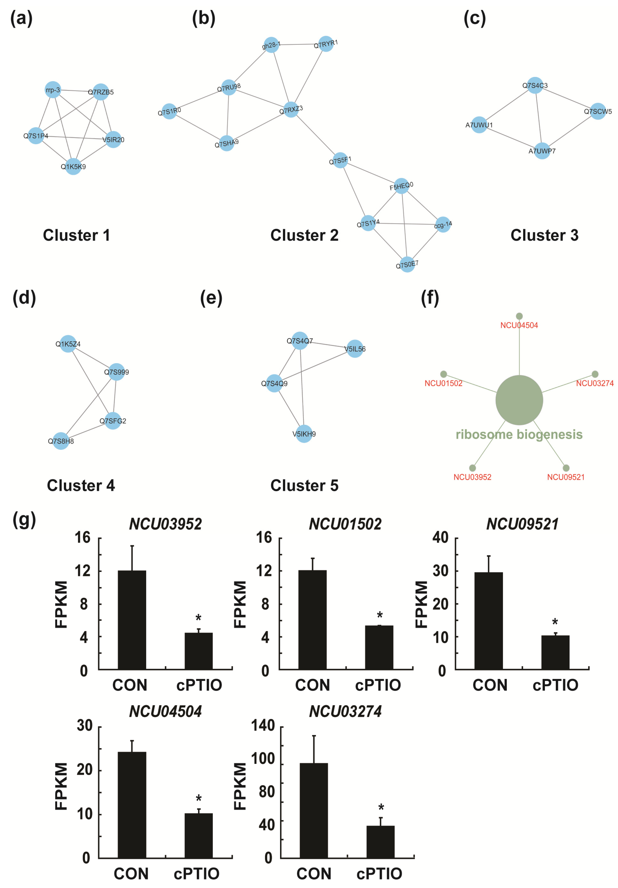 Jof Free Full Text Rna Seq Based Transcriptome Analysis Of Nitric