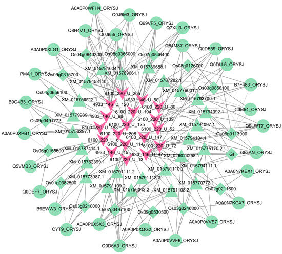 JoF | Free Full-Text | A Relationship Prediction Method for Magnaporthe ...