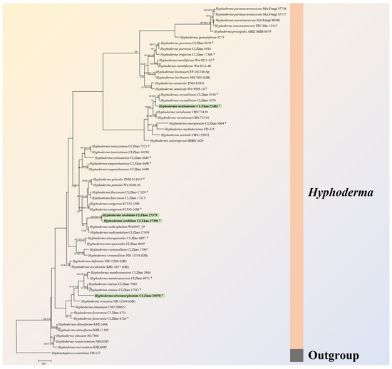 Molecular Systematics and Taxonomic Analyses of Three New Wood ...