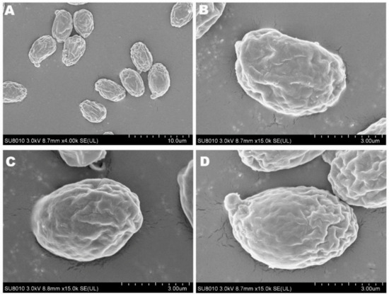The Research Status and Prospects of Floccularia luteovirens: A ...