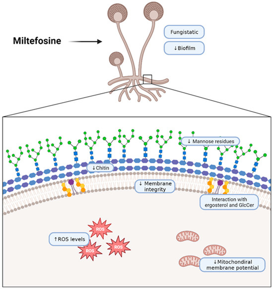 JoF | Free Full-Text | Miltefosine: A Repurposing Drug against ...